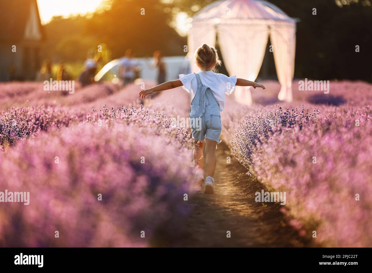 Back view of happy child girl runs raising her hands like flying plane ...