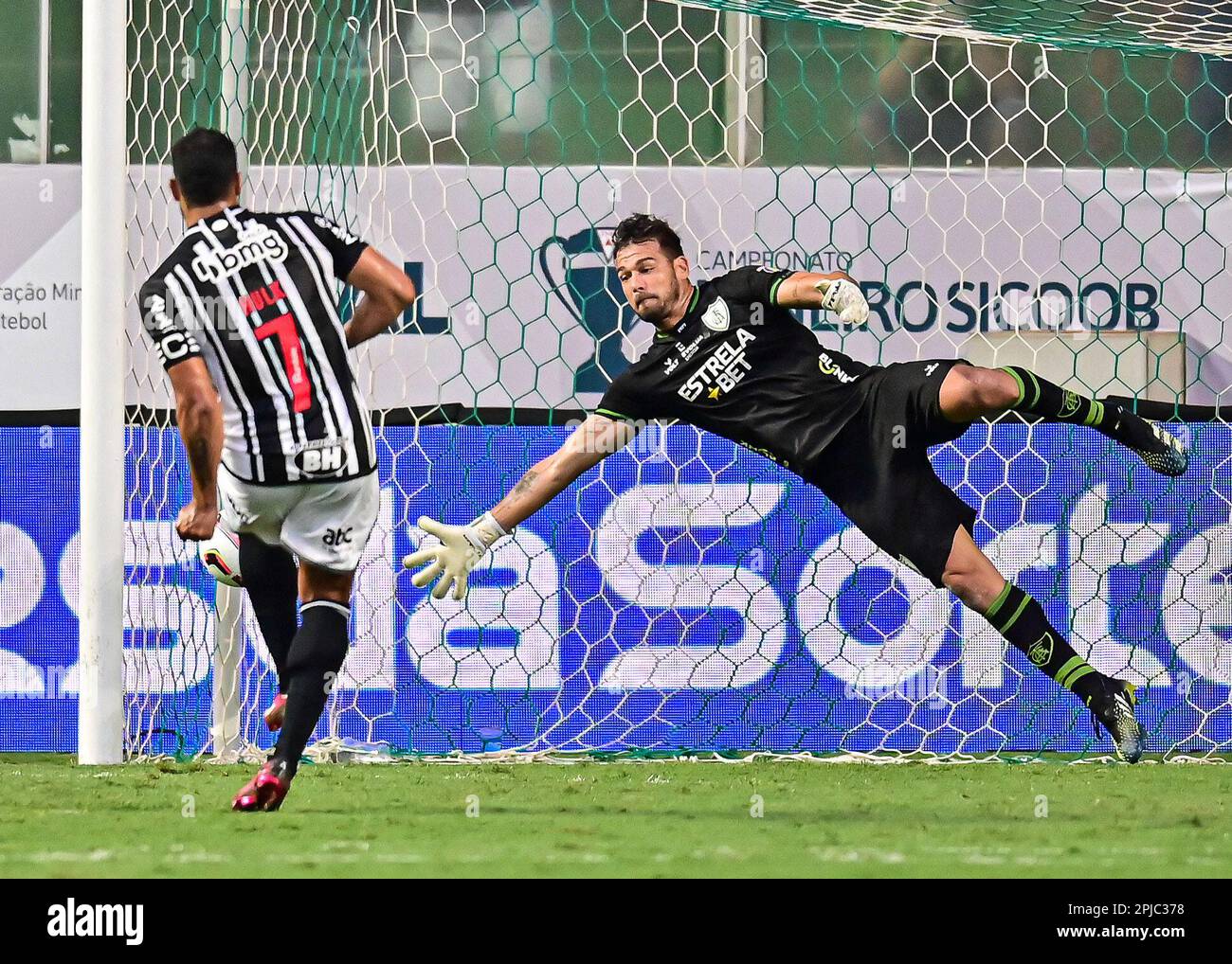 Cavichioli Hi Res Stock Photography And Images Alamy