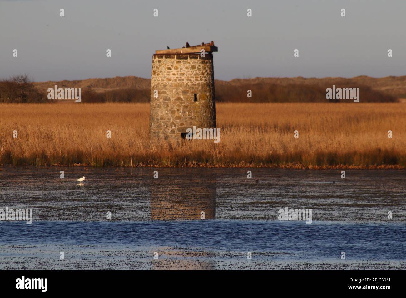 Strathbeg reserve hi-res stock photography and images - Alamy