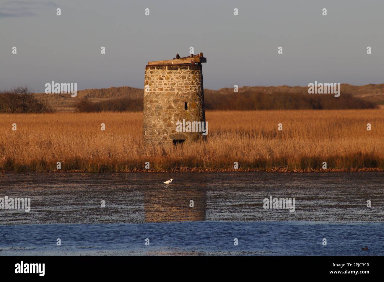 Loch of strathbeg nature hi-res stock photography and images - Alamy