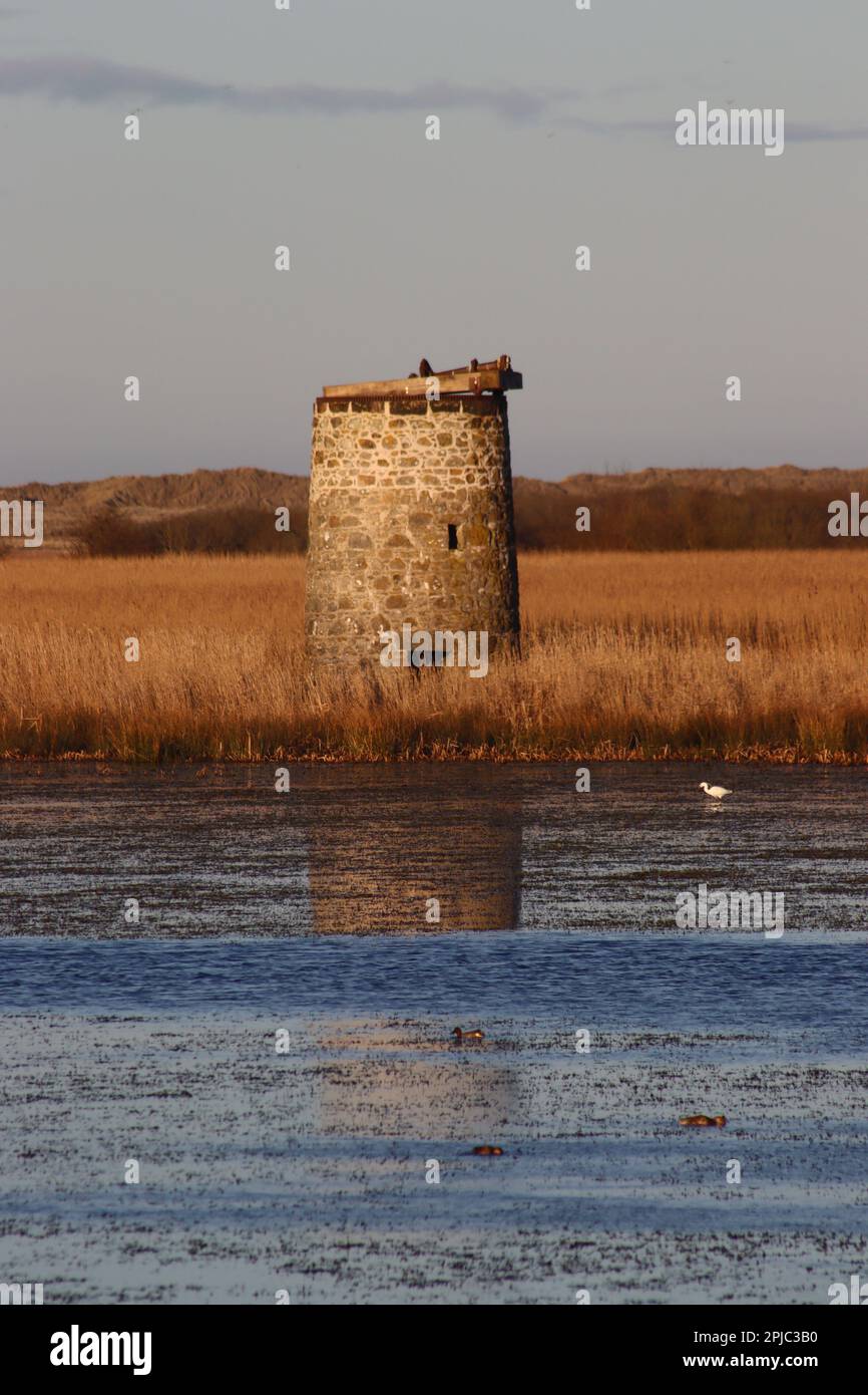 Loch of Strathbeg, Scotland Stock Photo - Alamy