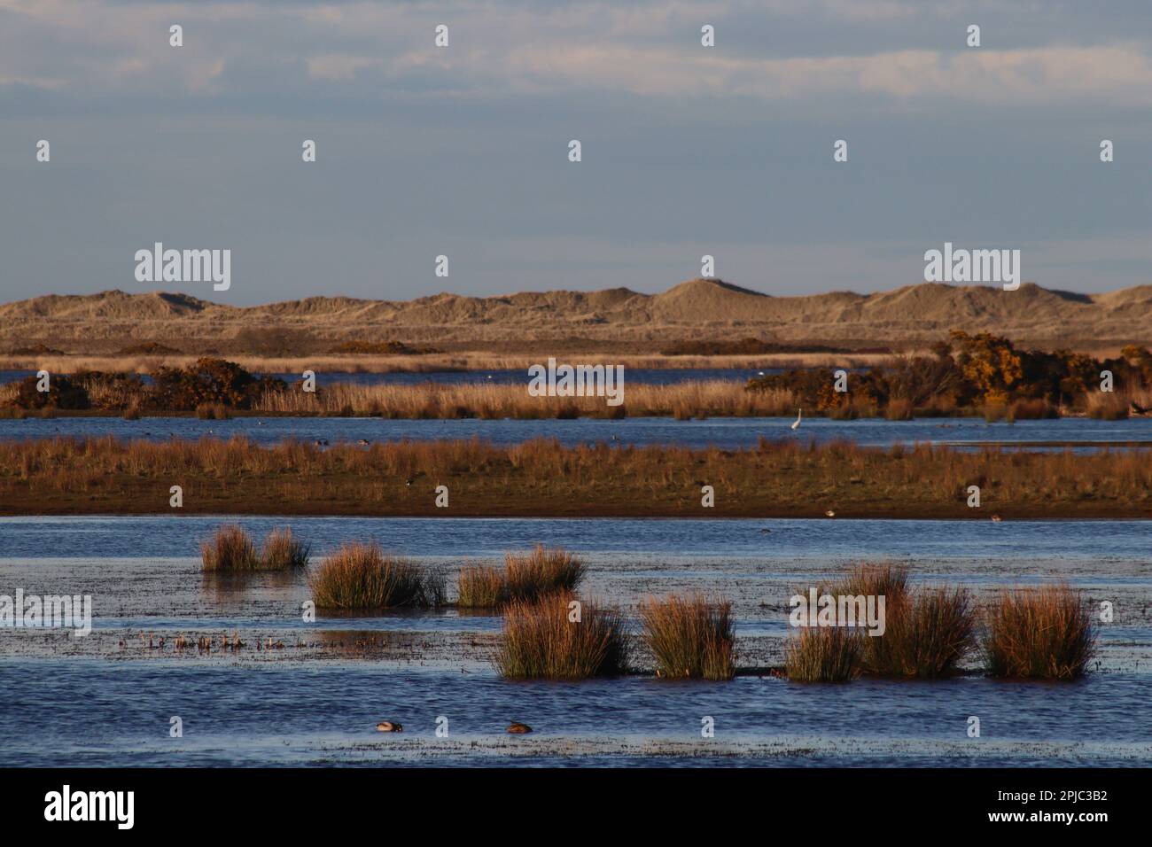 Loch of Strathbeg, Scotland Stock Photo - Alamy