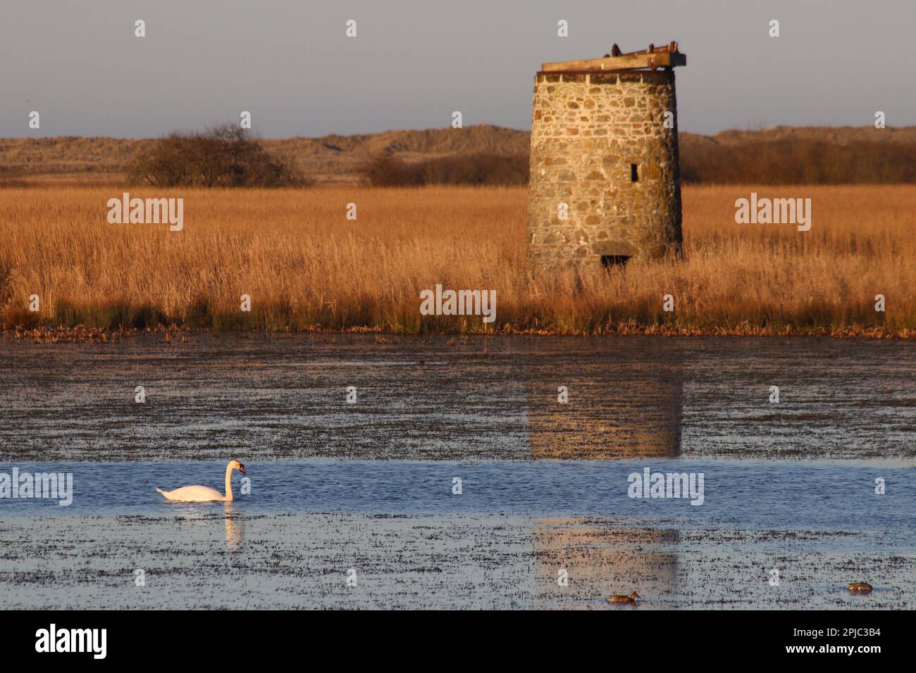 Loch of Strathbeg, Scotland Stock Photo - Alamy