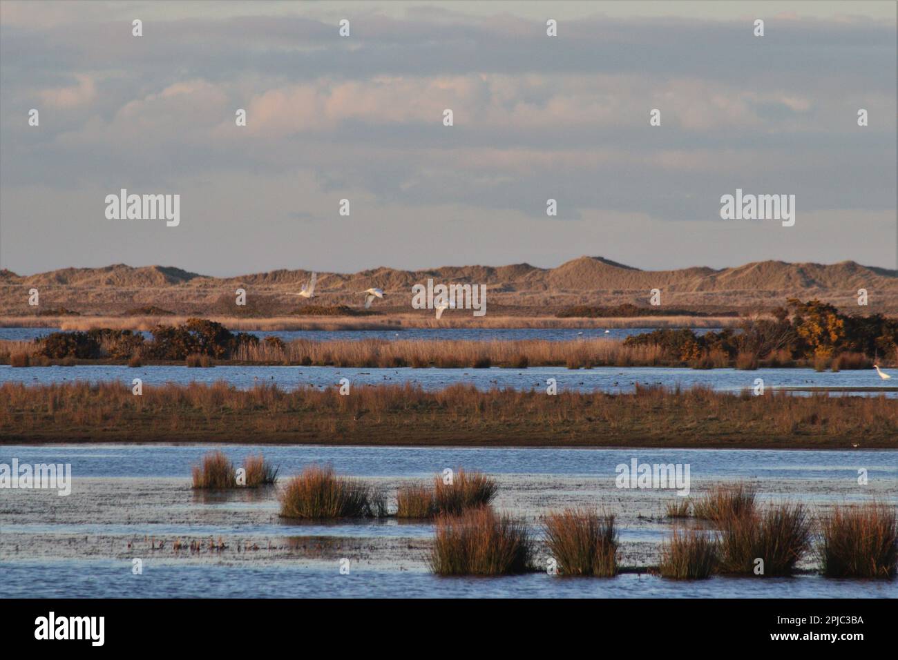 Strathbeg hi-res stock photography and images - Alamy