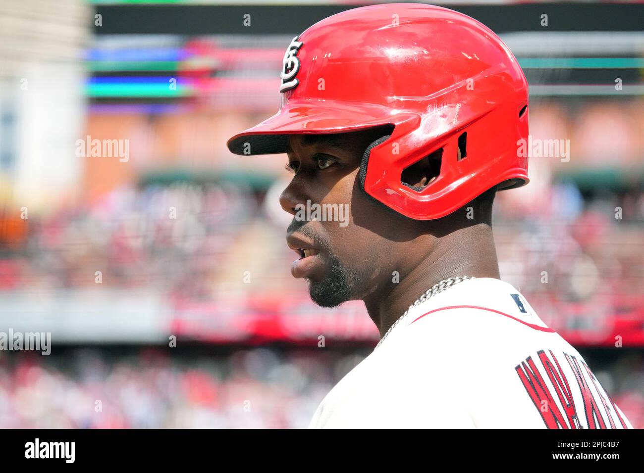 St. Louis, United States. 01st Apr, 2023. St. Louis Cardinals Jordan ...