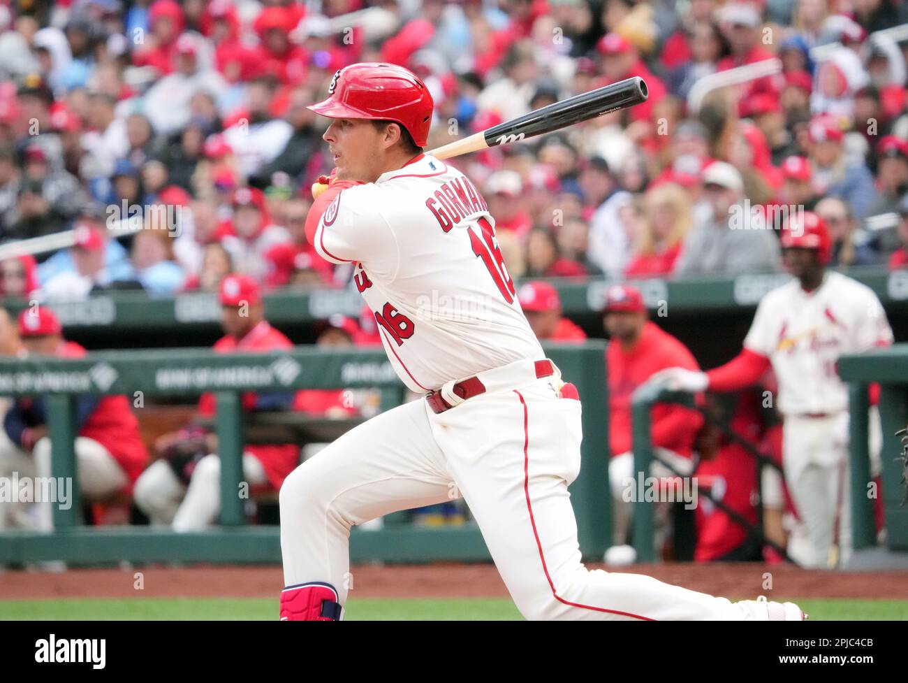 St. Louis, United States. 01st Apr, 2023. St. Louis Cardinals Nolan ...
