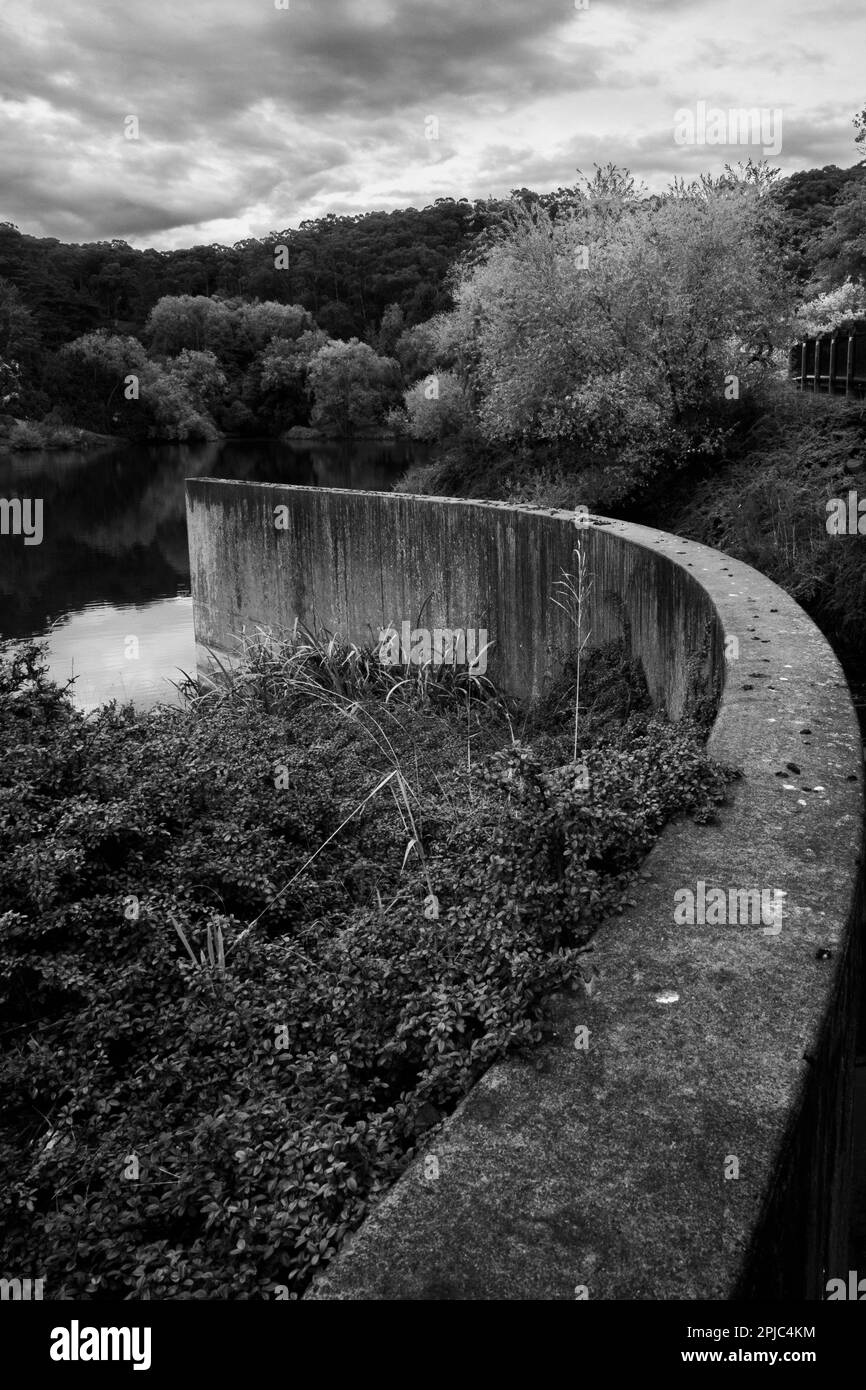 Concrete wall overlooking lake with background of trees Stock Photo - Alamy