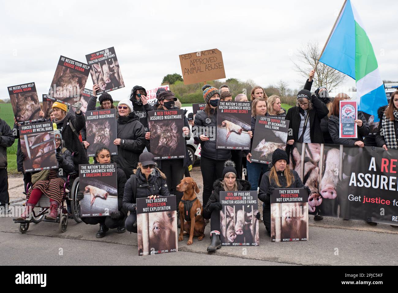 Animal rights pressures group hi-res stock photography and images - Alamy