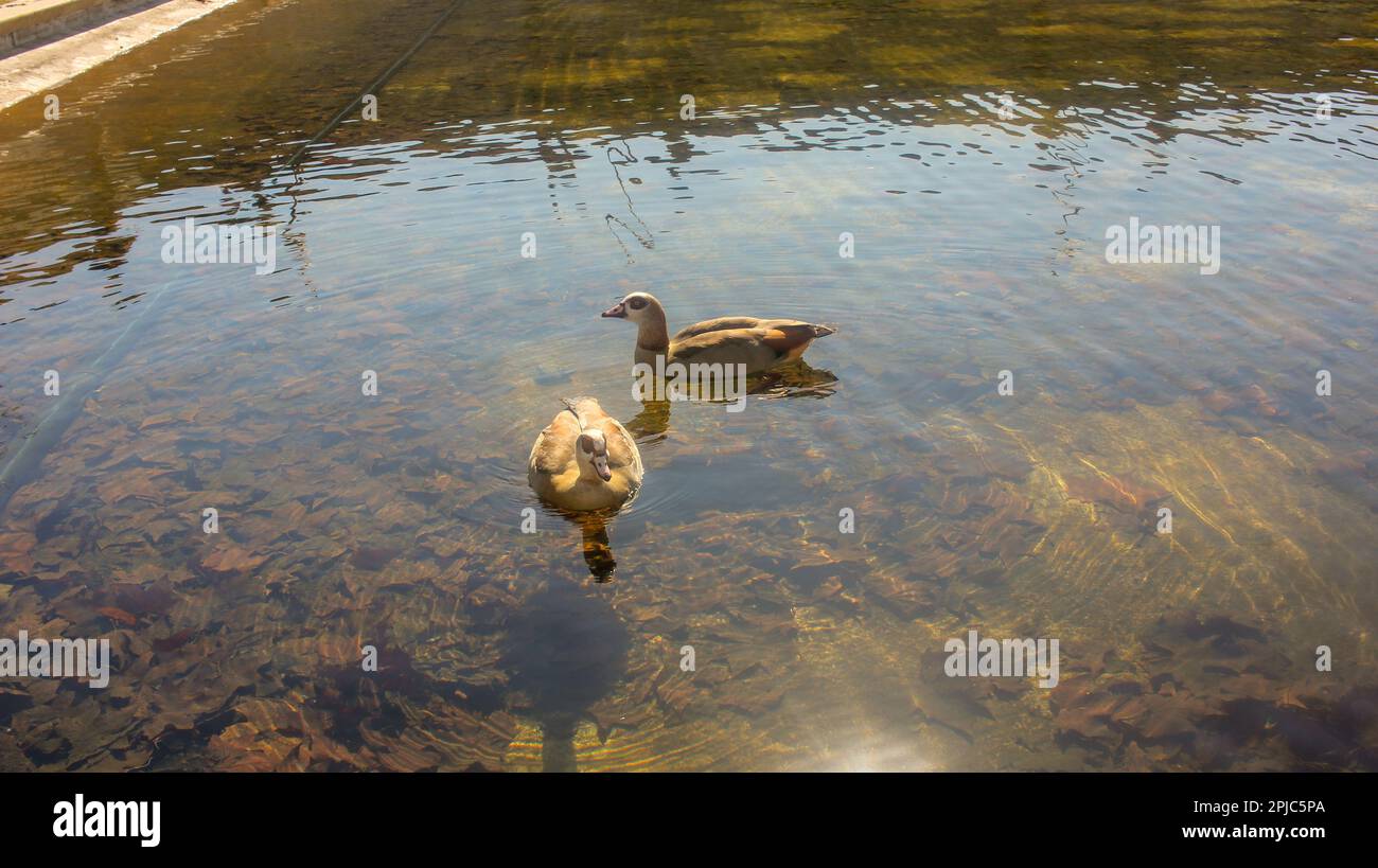 Madrid sunshine hi-res stock photography and images - Alamy
