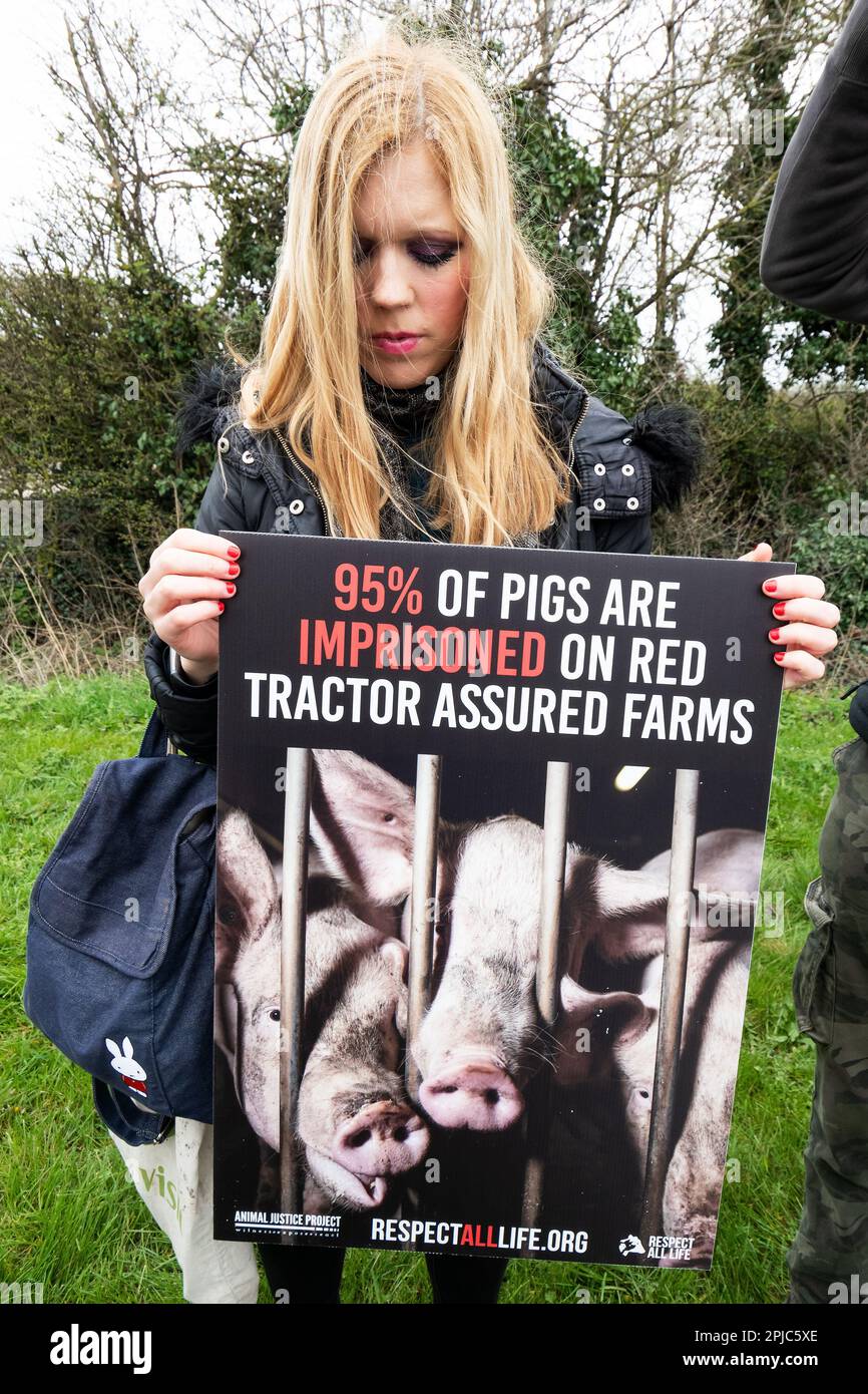 Animal rights pressures group hi-res stock photography and images - Alamy