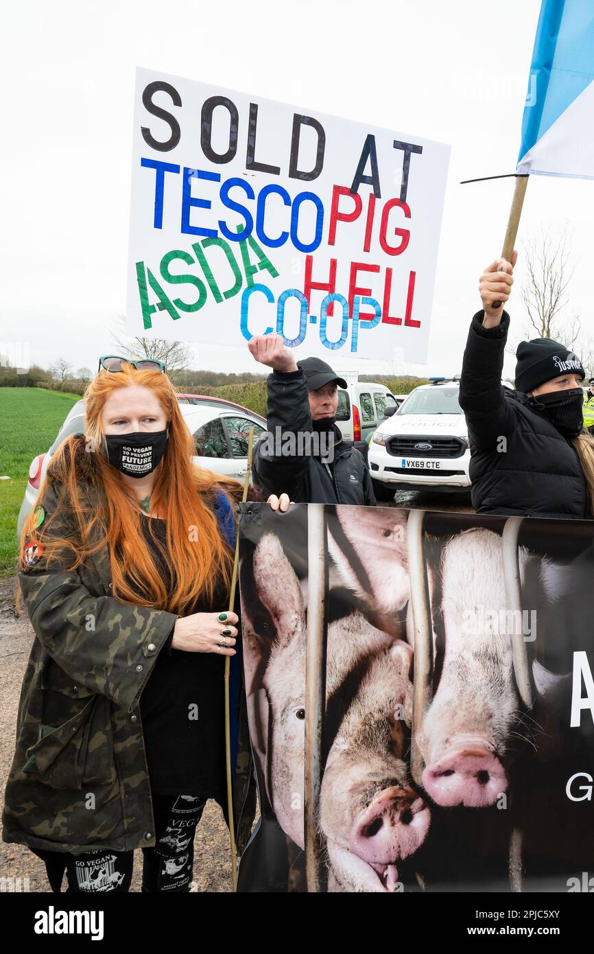 Animal rights pressures group hi-res stock photography and images - Alamy