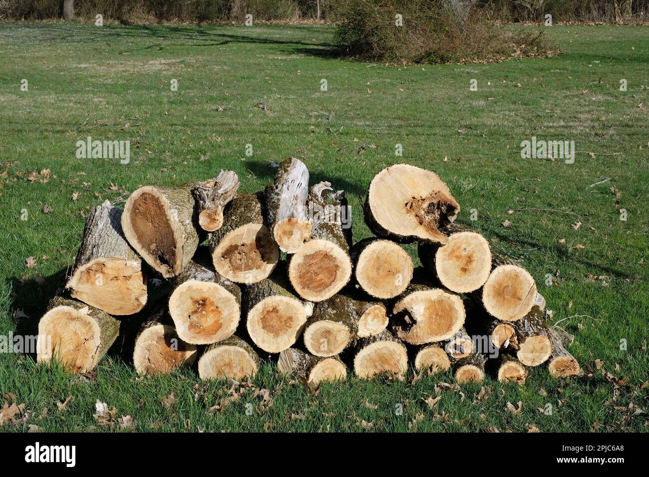 Outdoor woodcutting hi-res stock photography and images - Alamy