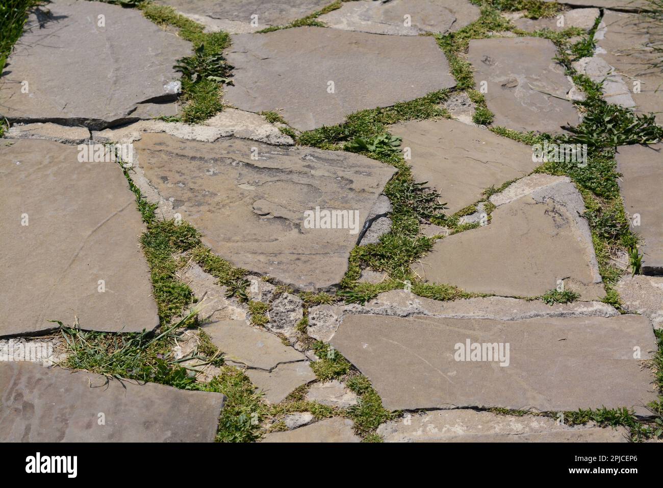 Old stone pathway with green grass as background Stock Photo - Alamy