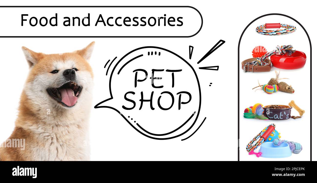 Advertising banner design for pet shop. Cute dog and different ...