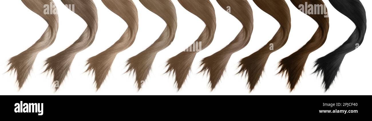 Strands of different beautiful hair on white background, top view ...