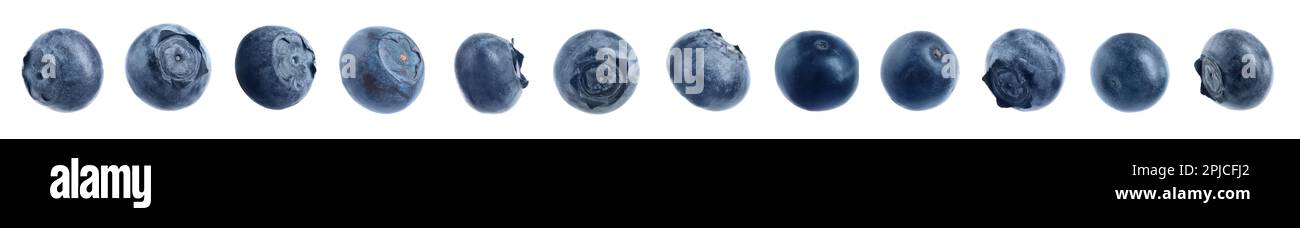 Set with fresh ripe blueberries on white background. Banner design ...