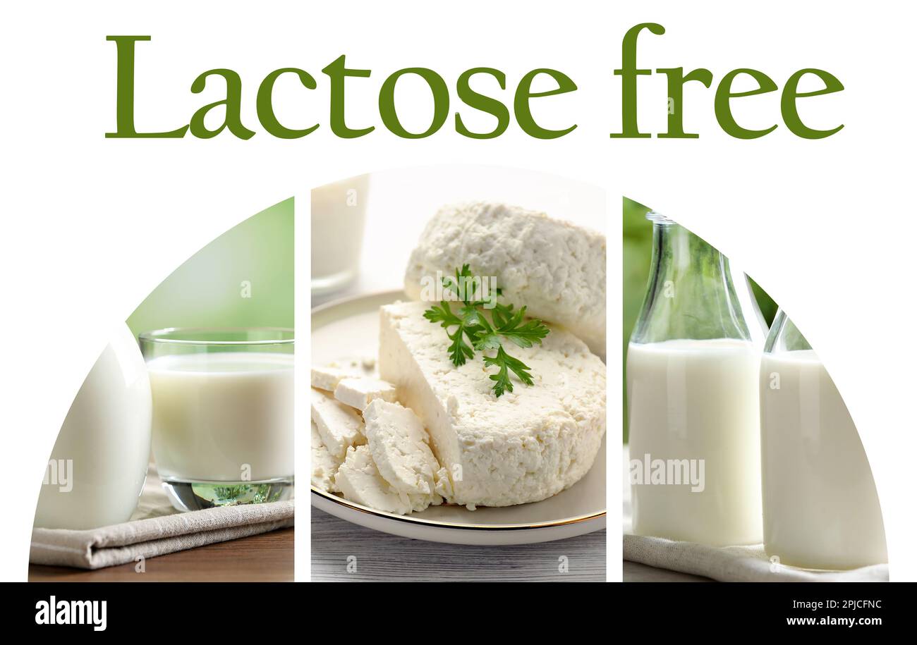 Collage with photos of lactose free dairy products on white background ...