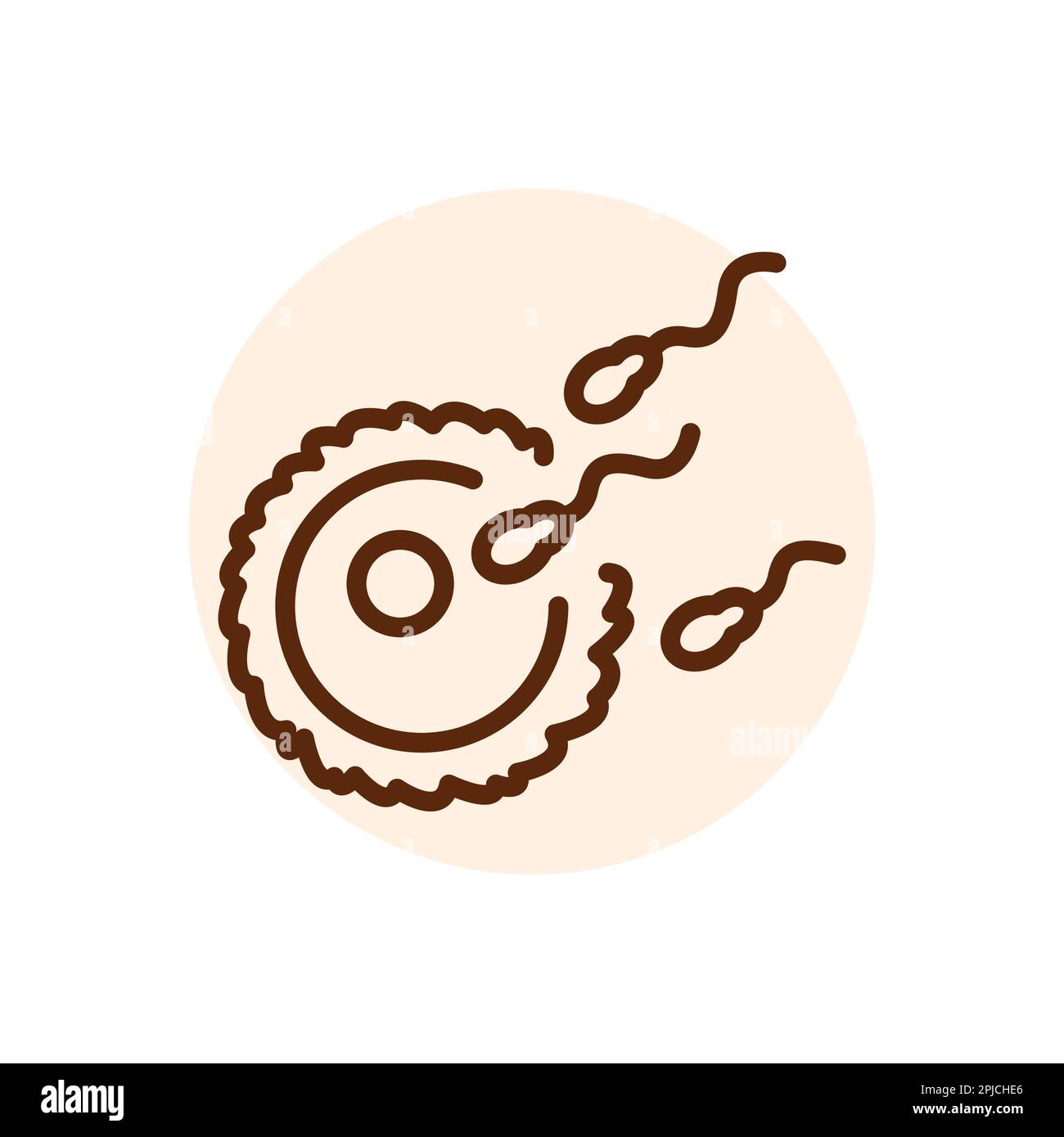 Ovum illustration Stock Vector Images - Alamy