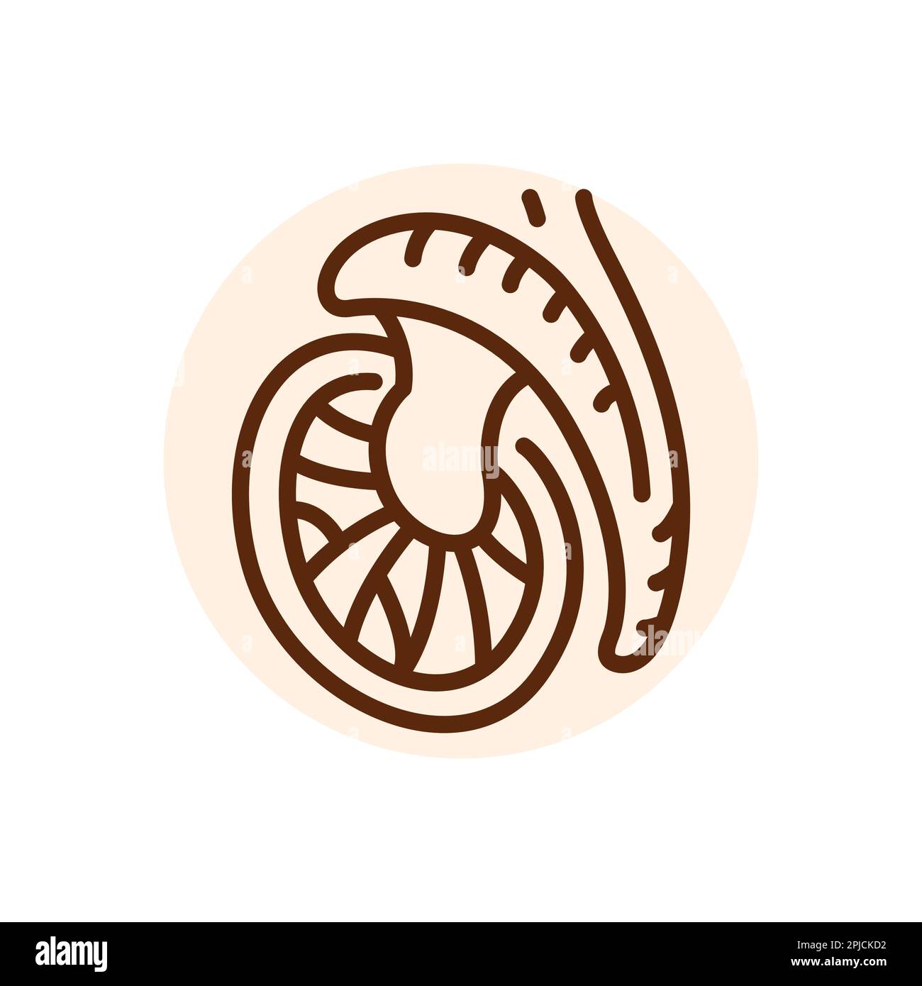 Male testicle Stock Vector Images - Alamy