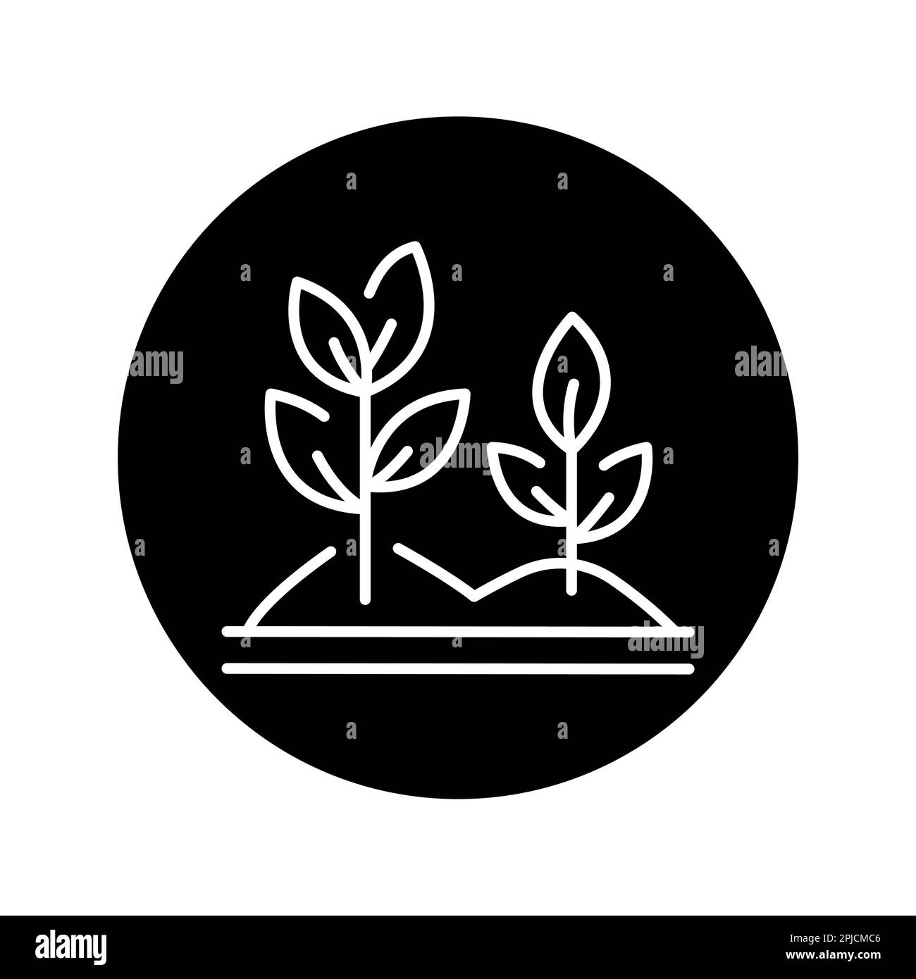 Growing plants color line icon. Garden service Stock Vector Image & Art ...