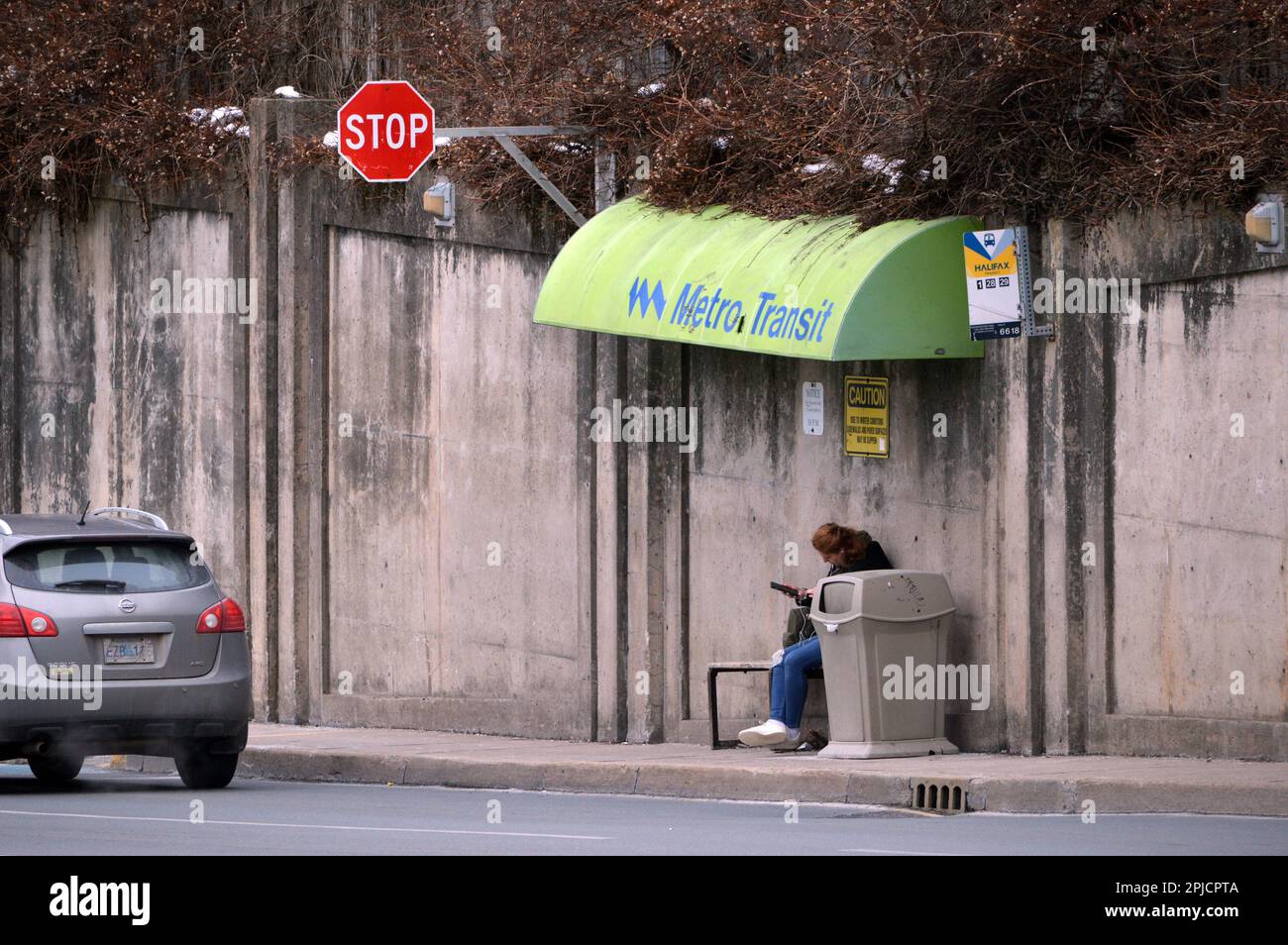 Woman waiting for the bus at a Halifax Transit stop on East Perimeter ...