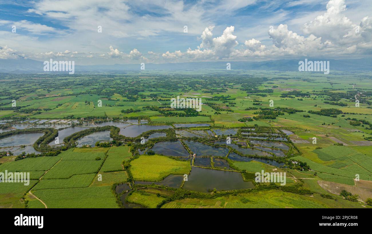 River among rice fields and farmland. Agricultural landscape. Hinigaran ...