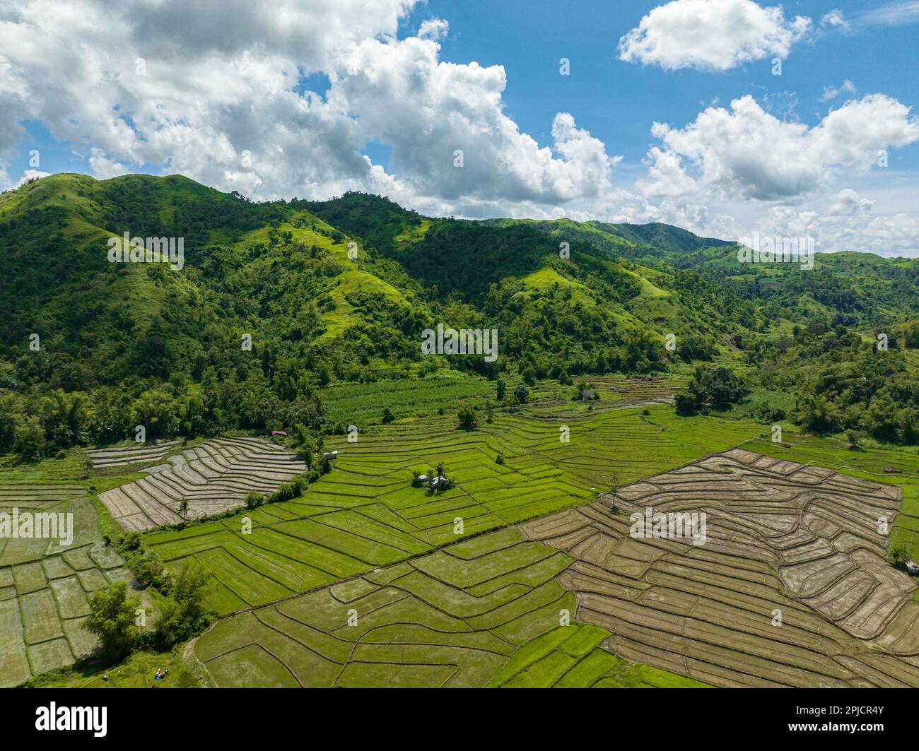 Aerial view of rice plantations and farmland among the mountains ...