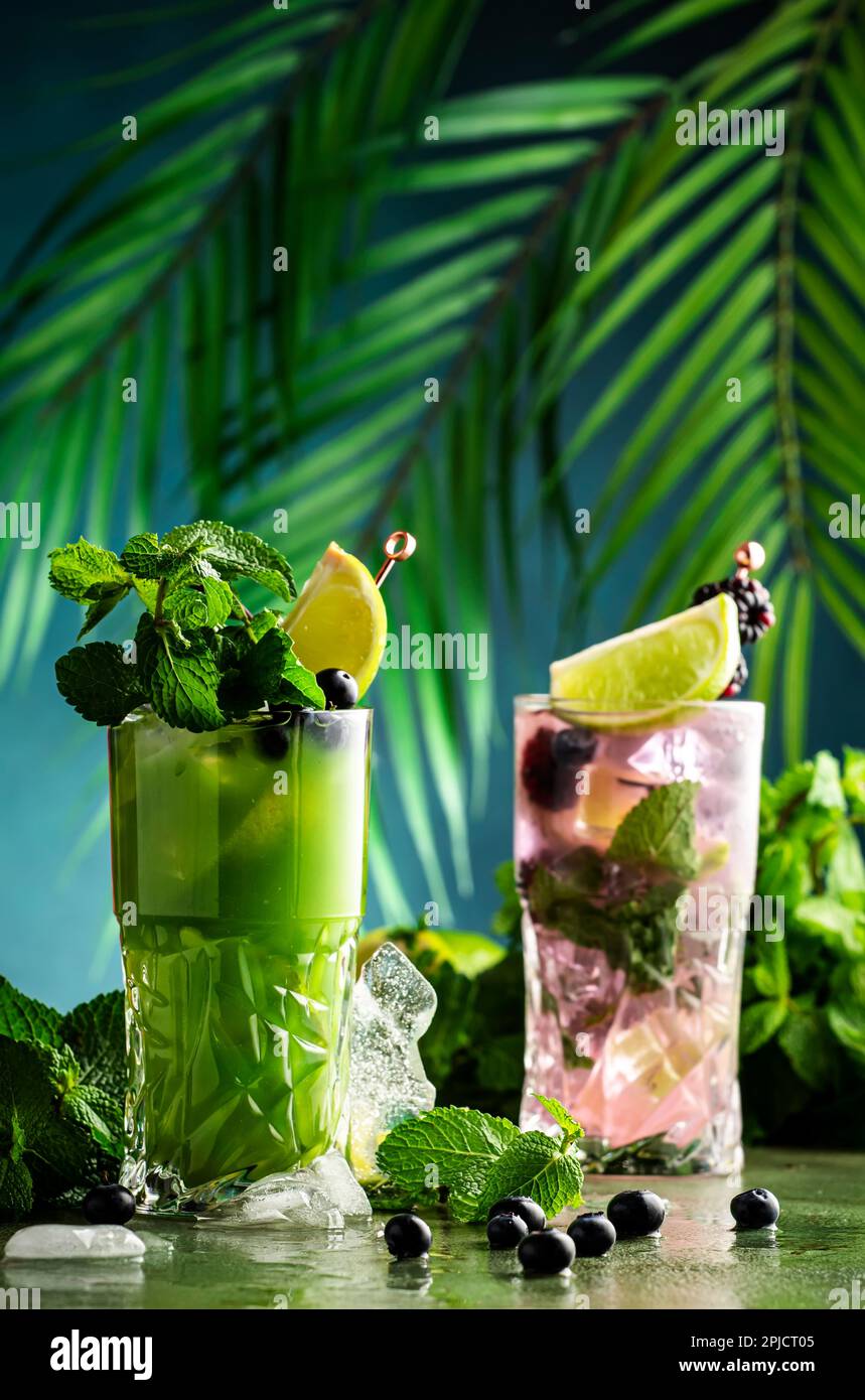 Summer cocktail party.. Refreshing fruit and berry alcoholic cocktails ...
