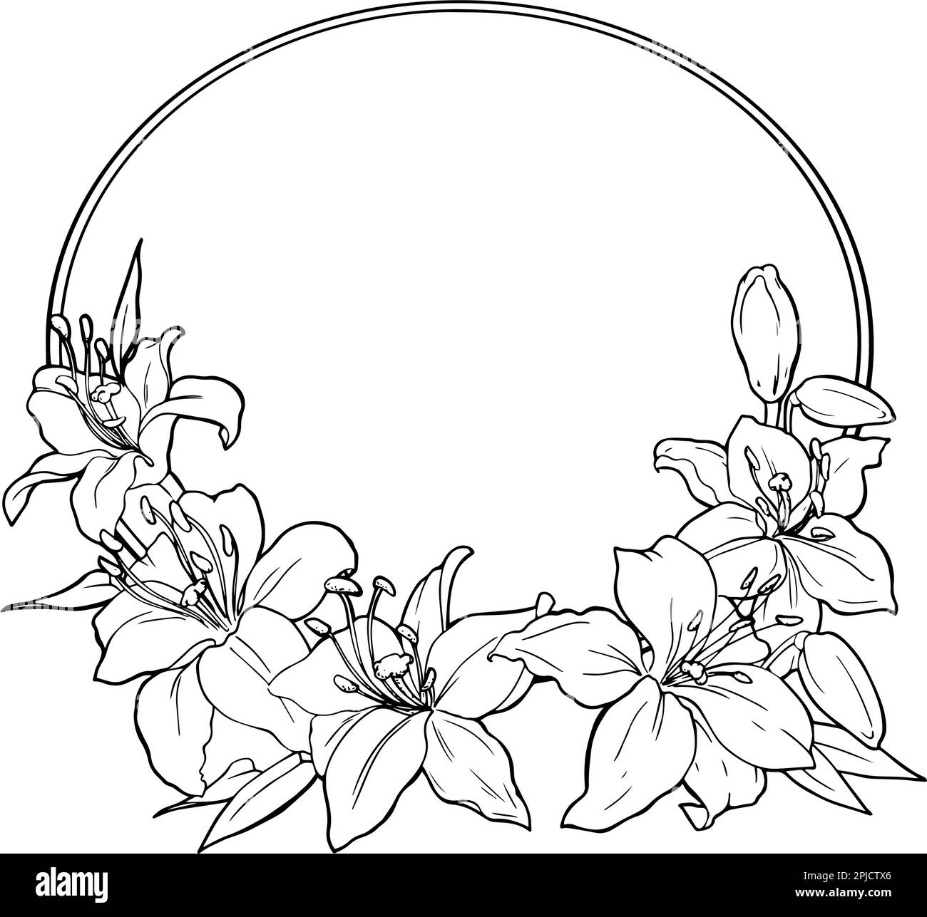 Vector graphics. Linear freehand drawing of a frame of lilies. From the ...
