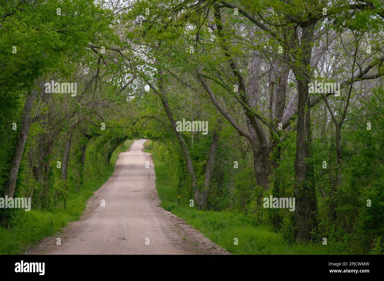 Springtime landscape along road hi-res stock photography and images - Alamy