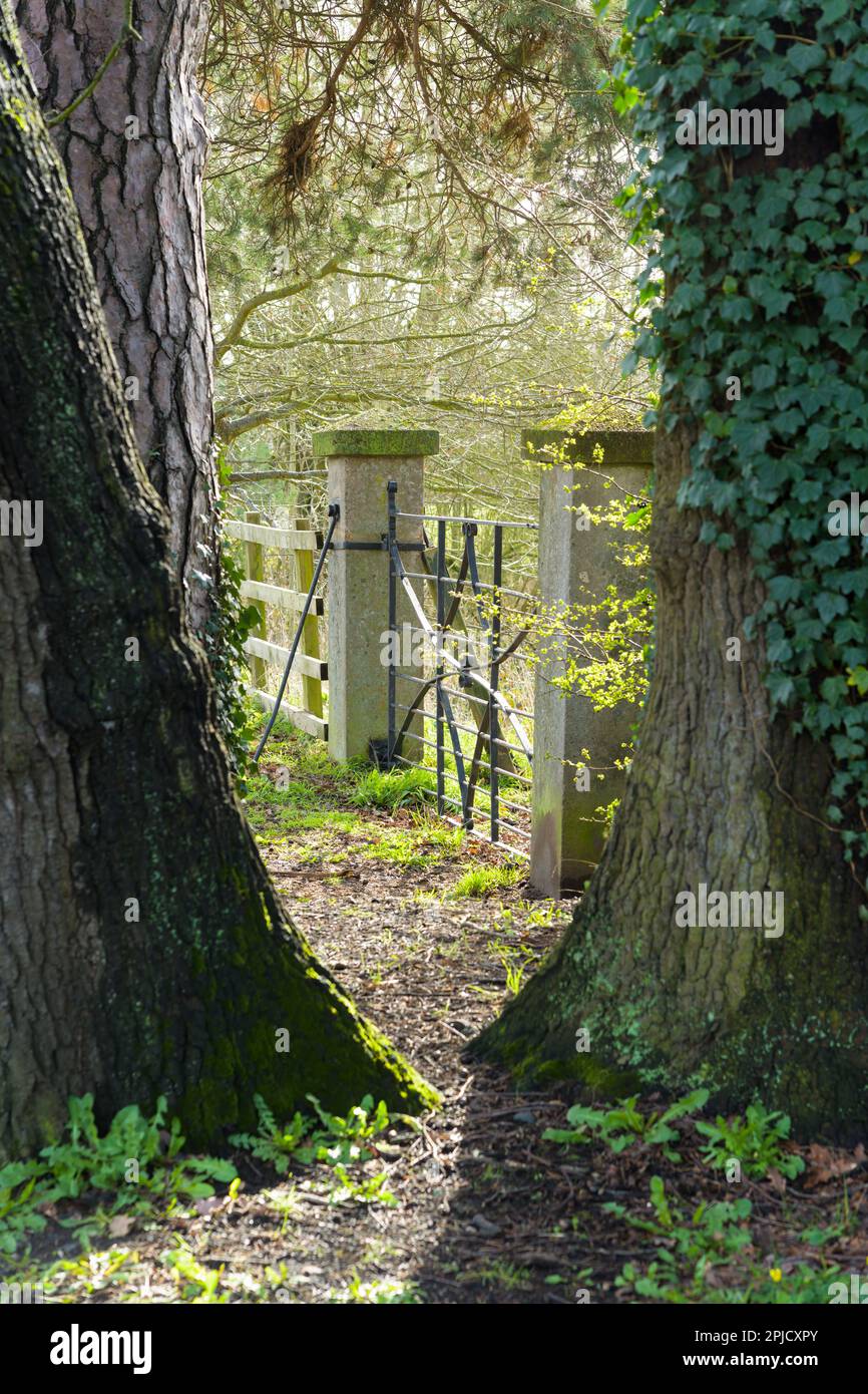 Metal gate hung on stone pillars between two trees in countryside Stock ...