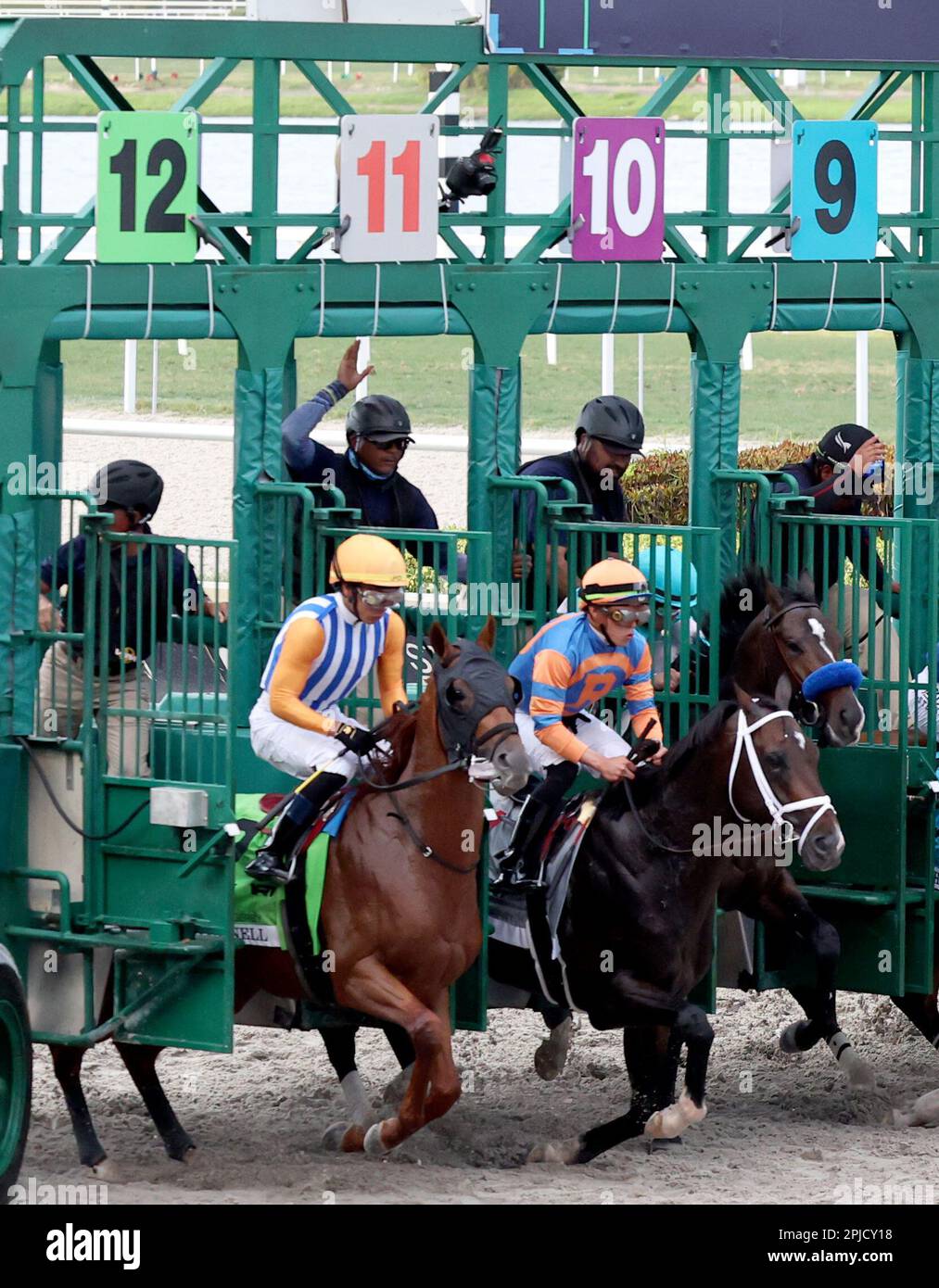 HALLANDALE, FLORIDA - APRIL 01: Forte #11, ridden by Irad Ortiz Jr ... HALLANDALE, FLORIDA - APRIL 01: Forte #11, ridden by Irad Ortiz Jr ...