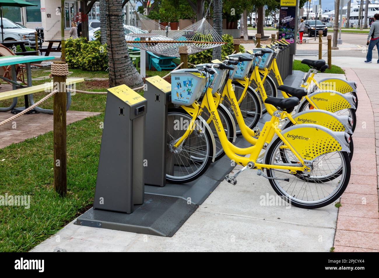 These yellow Brightline Bike rental bicycles are parked on Clematis ...