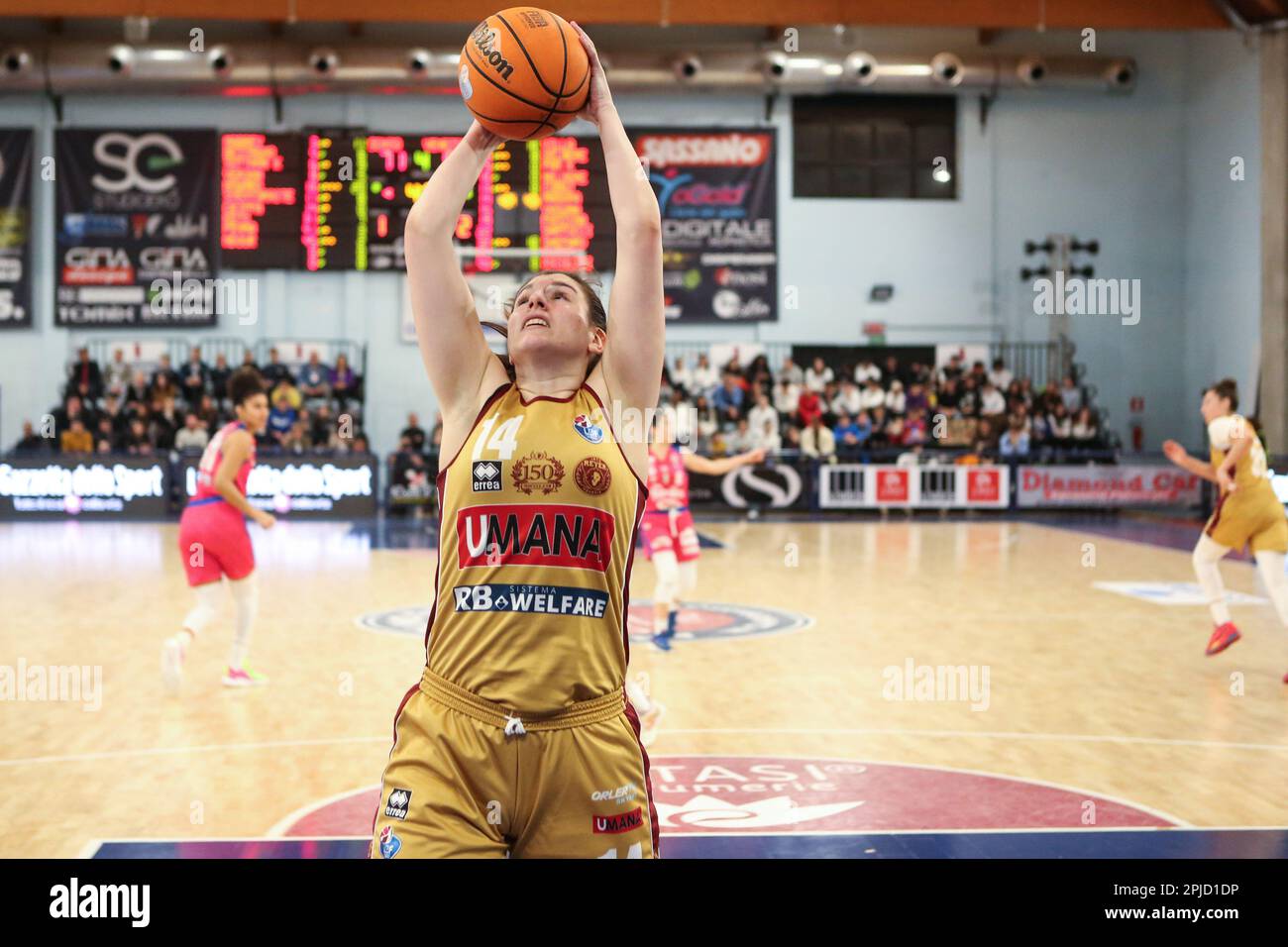 Madera sara hi-res stock photography and images - Alamy