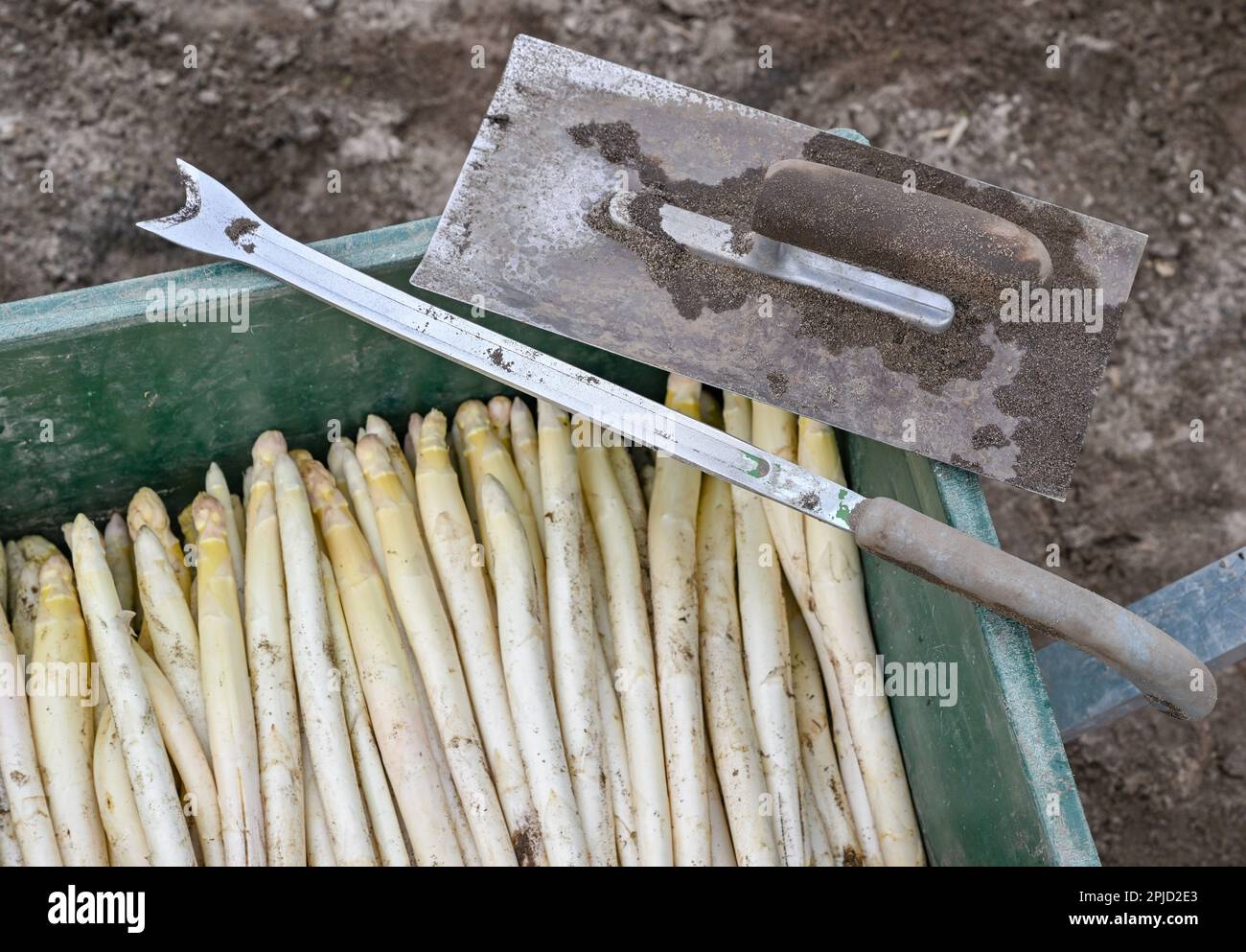 Asparagus digger hi-res stock photography and images - Alamy