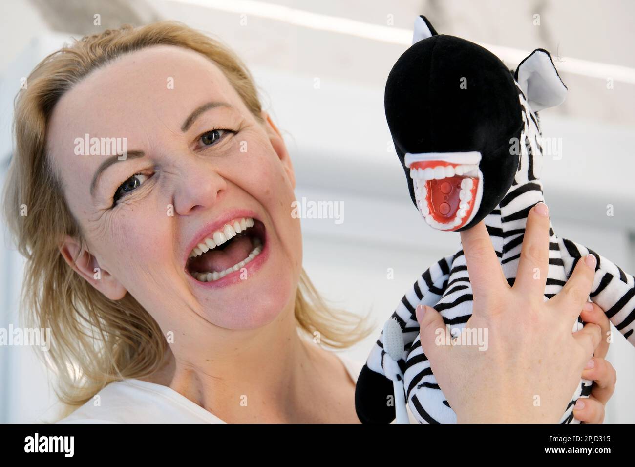 beautiful female in a white t-shirt with a big soft toy in form zebra ...