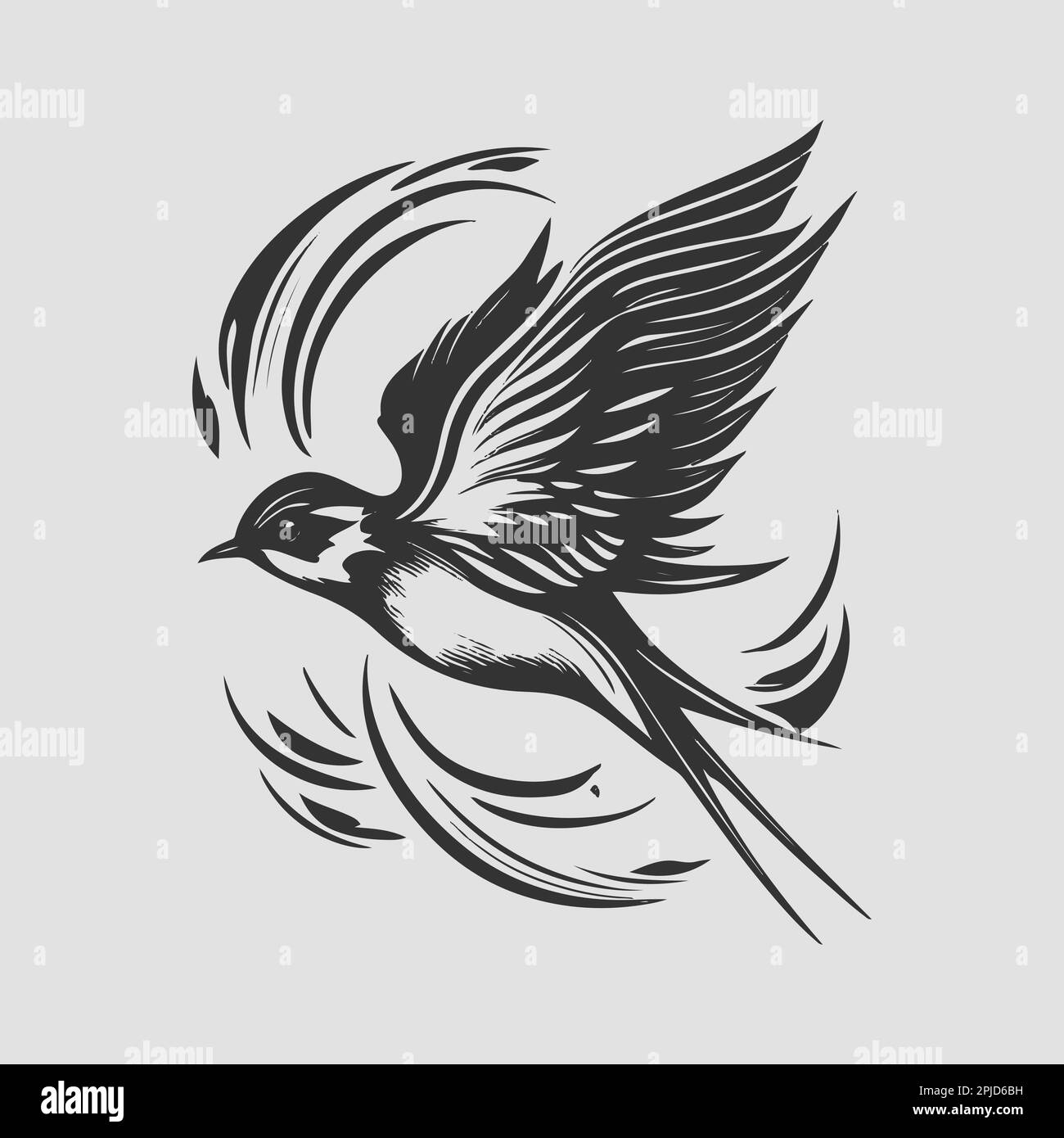 Swallow Bird Illustration Vector Retro Bird Style Illustration Bird