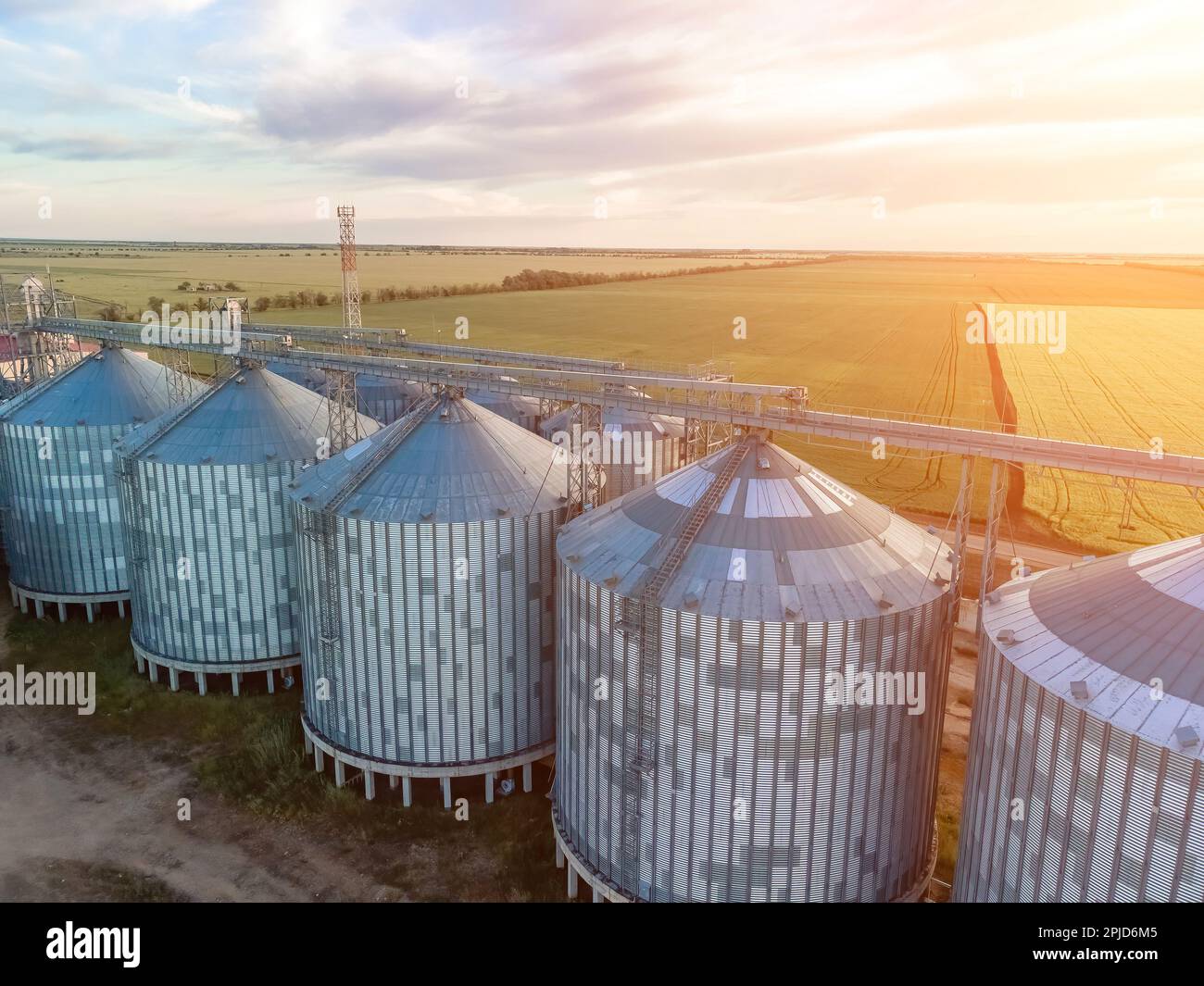 Grain silos on a green field background with warm sunset light. Grain ...