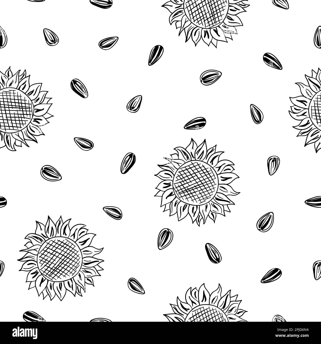 Seamless sunflower pattern with heads and seeds. Vector balck and white ...