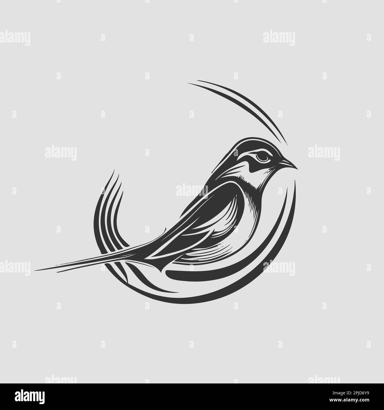 Swallow Bird Illustration Vector Retro Bird Style Illustration Bird