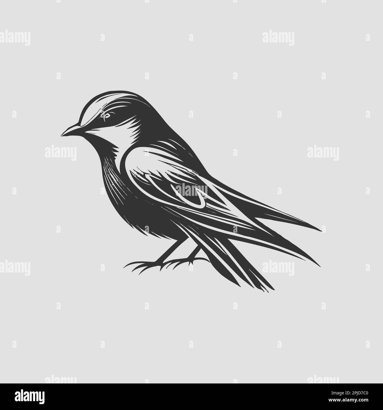 swallow bird illustration vector. retro bird style illustration. bird vector illustration Stock ...