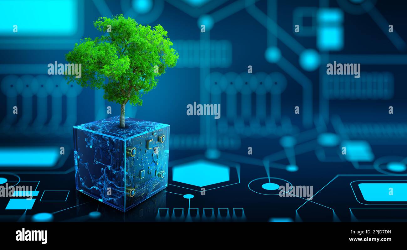Tree growing on Circuit Digital Cube. Digital and Technology ...