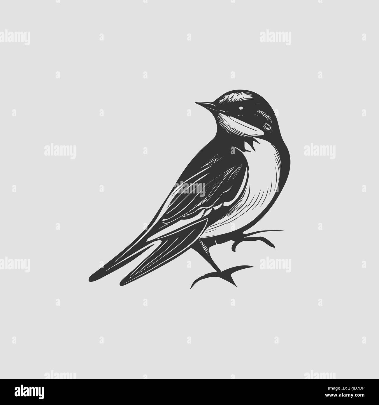 swallow bird illustration vector. retro bird style illustration. bird vector illustration Stock ...