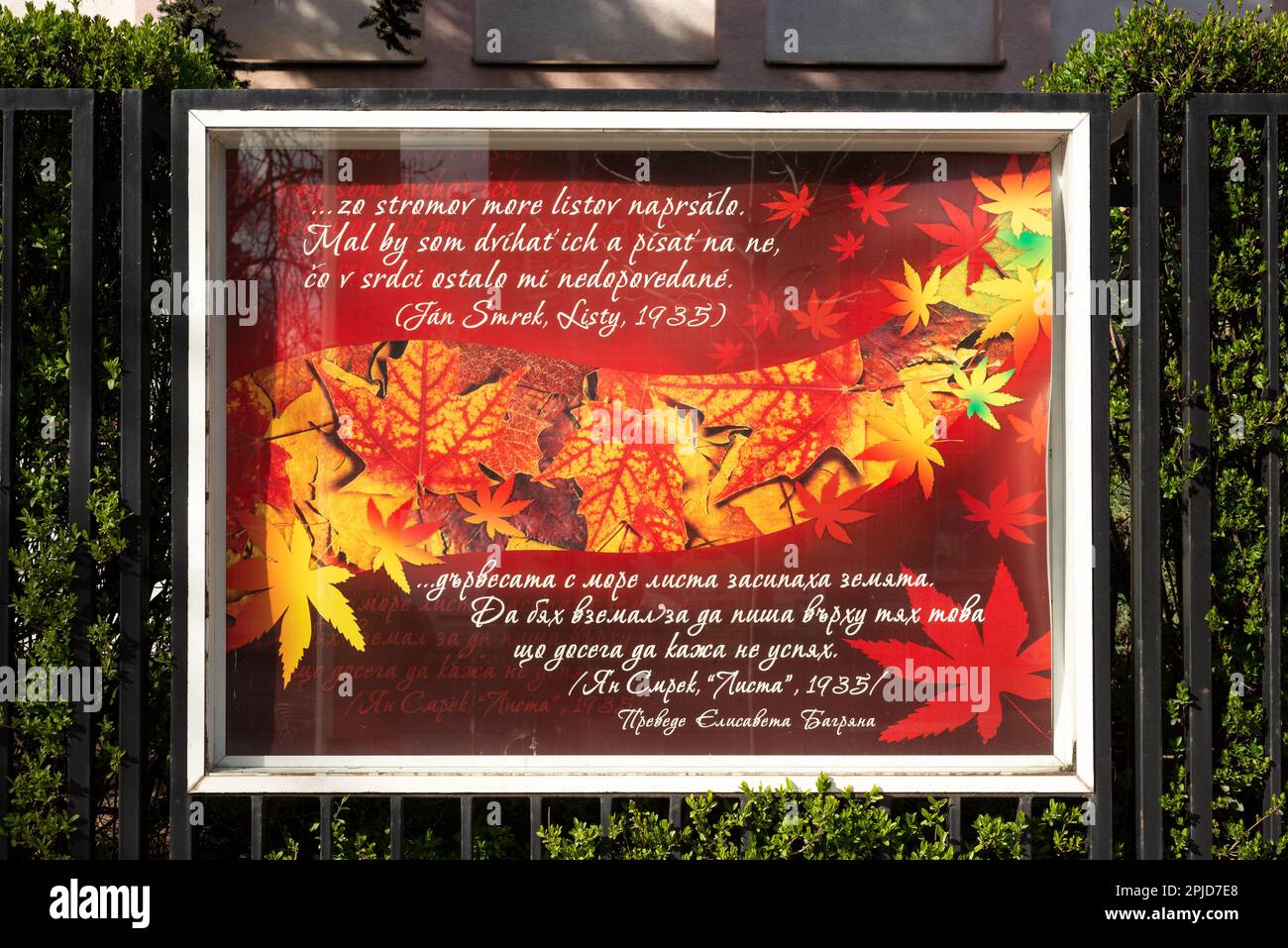 Wall-To-Wall Poetry art project "Unity in Diversity" poem verses by Ján ...