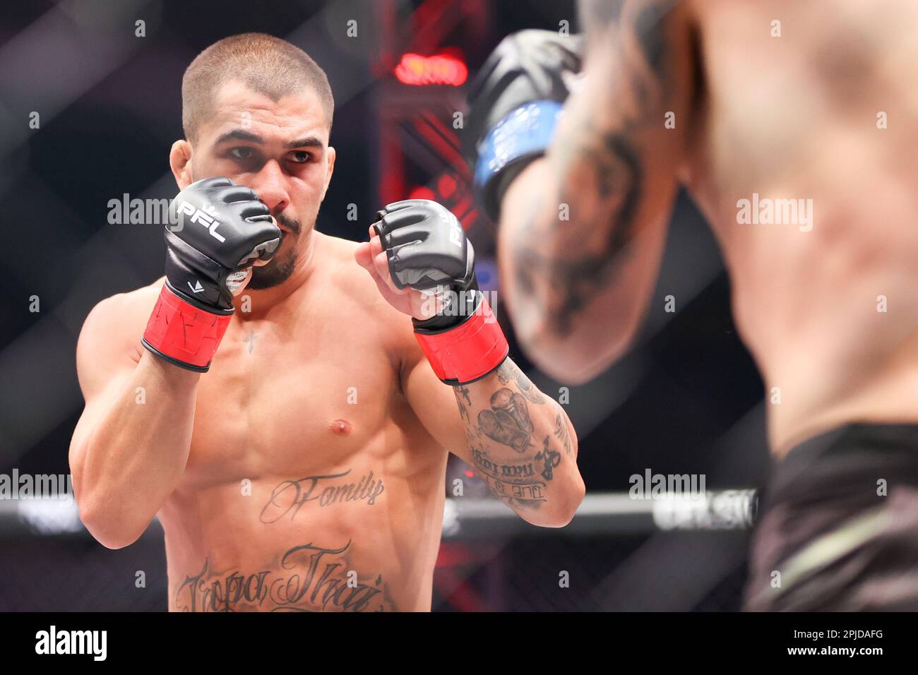 Las Vegas, NV, USA. 1st Apr, 2023. Featherweight Gabriel Braga looks at ...