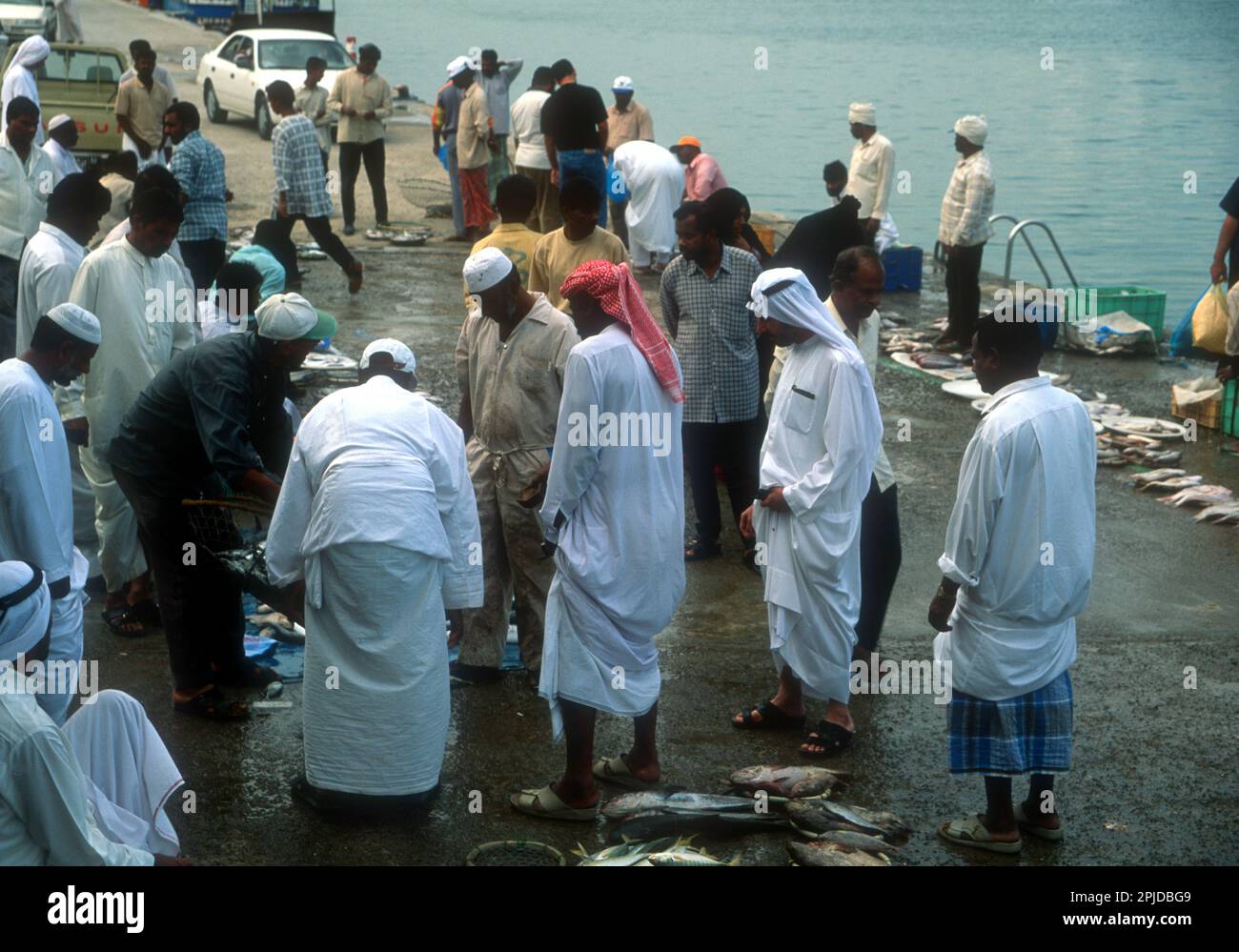 Fish market in the emirate of Ajman, UAE Stock Photo - Alamy