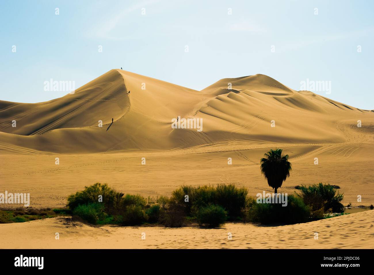 The HuacThe Huacachina Oasis, in the desert sand dunes near the city of ...