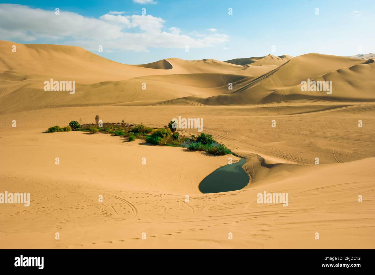 The HuacThe Huacachina Oasis, in the desert sand dunes near the city of ...
