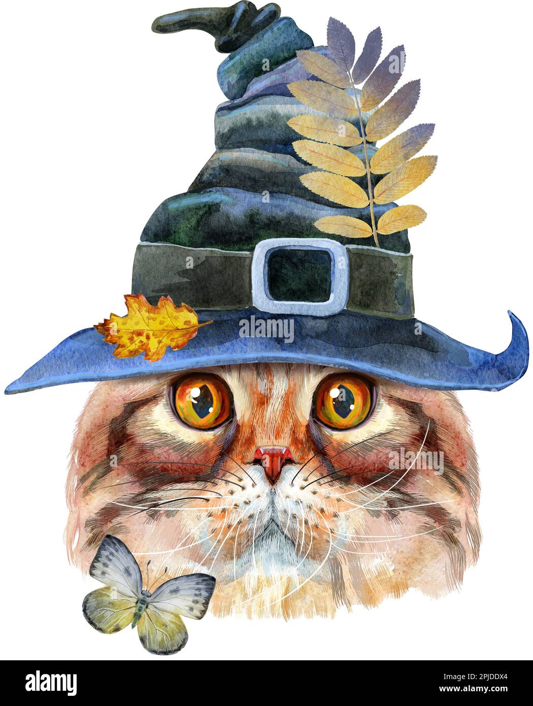 Cute cat in witch hat. Cat for t-shirt graphics. Watercolor Highland ...