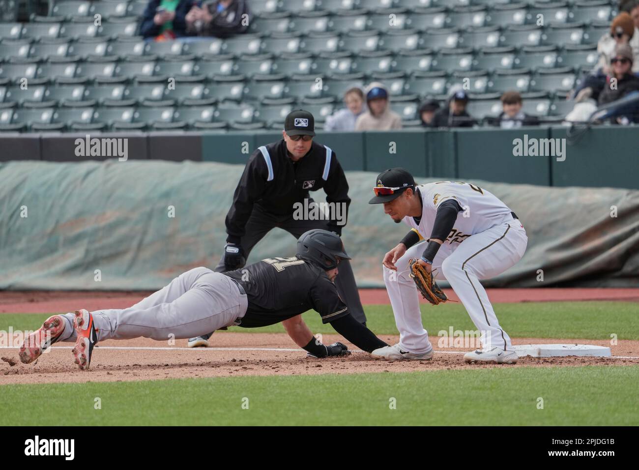 Ut austin baseball hi-res stock photography and images - Alamy